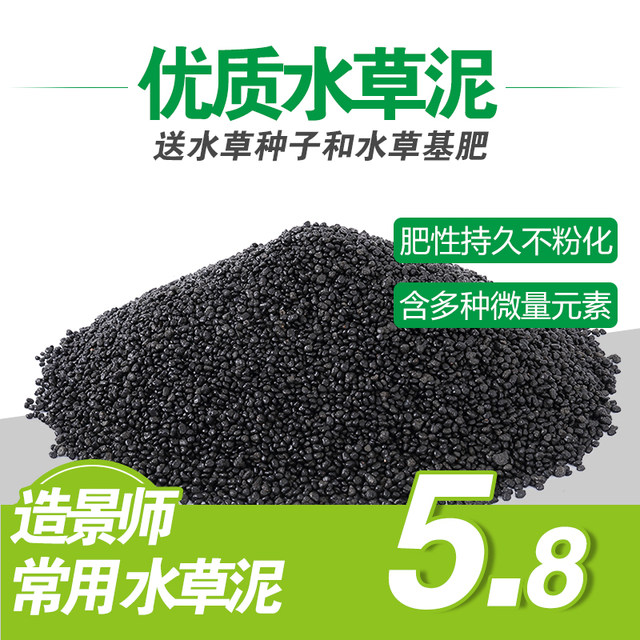 Fish tank bottom sand landscaping water grass mud ada grass tank living ...