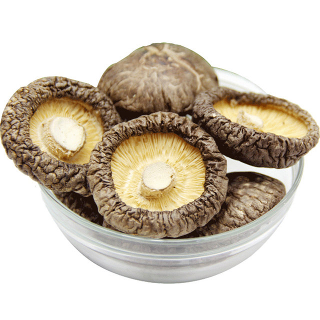 Dried Shiitake Mushrooms 500g Premium Fresh Nutritious Mushrooms Farm ...