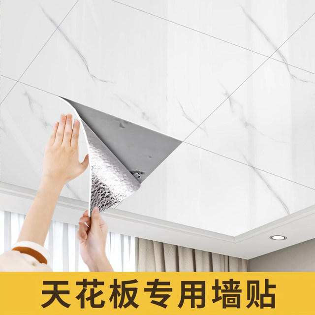 Ceiling stickers, self-installed wall stickers, roof decoration, ugly ...