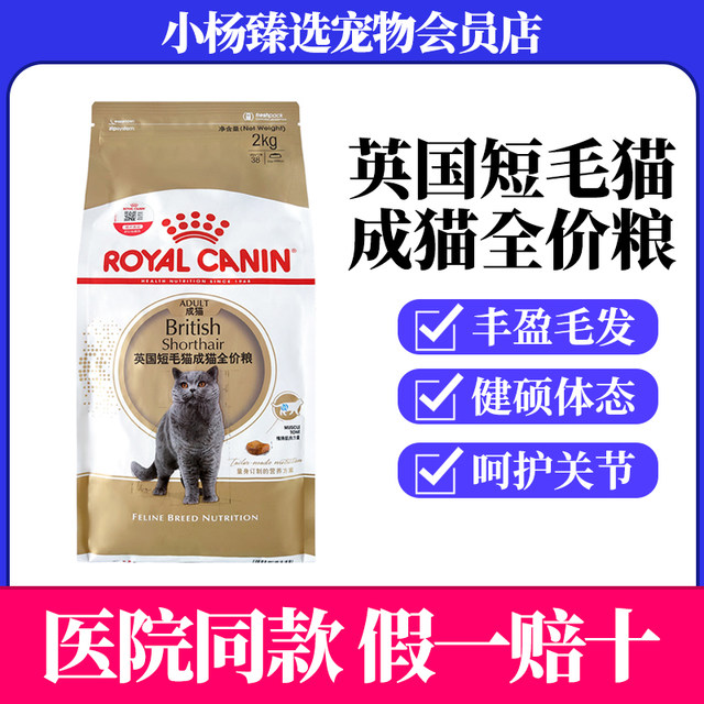 Royal cat food bs34 British short hair cat adult cat full price food blue cat special British ...