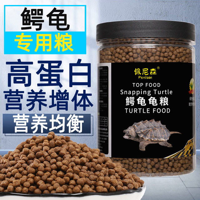Snapping turtle feed special turtle food Buddha Snapping turtle small ...