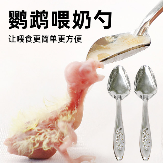 Parrot milk powder feeding spoon hand-raised baby bird feeding spoon ...