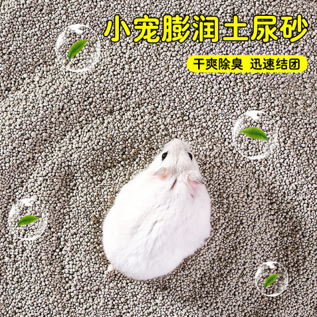 Hamster urine sand summer supplies water absorption grain corn cob hedgehog golden silk bear ...