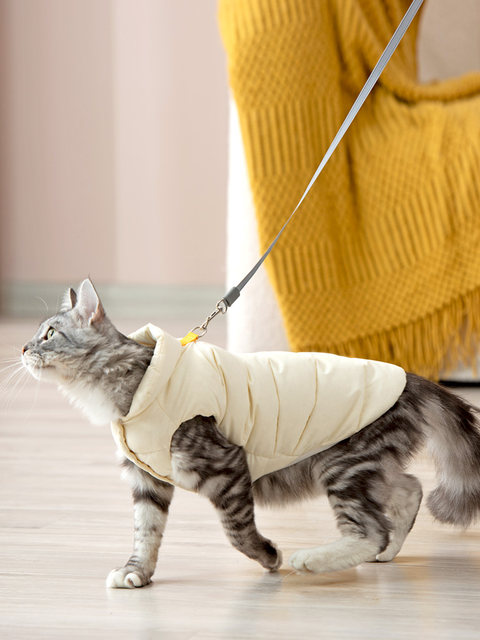 Cat clothes keep warm, winter anti-shedding Maine tabby down jacket ...