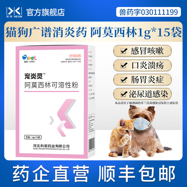 Amoxicillin pet anti-inflammatory medicine for cats, dogs, colds ...