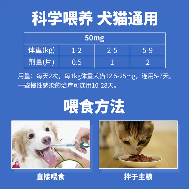 Spear cat nasal branch treatment cat cold medicine Speho anti ...