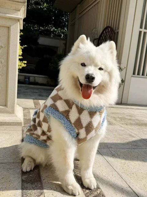 Special clothes for Samoyed in autumn and winter for big dogs, New Year ...