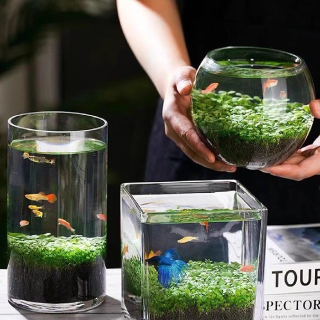 Water grass mud ceramsite sand sand fish tank bottom sand aquarium ...