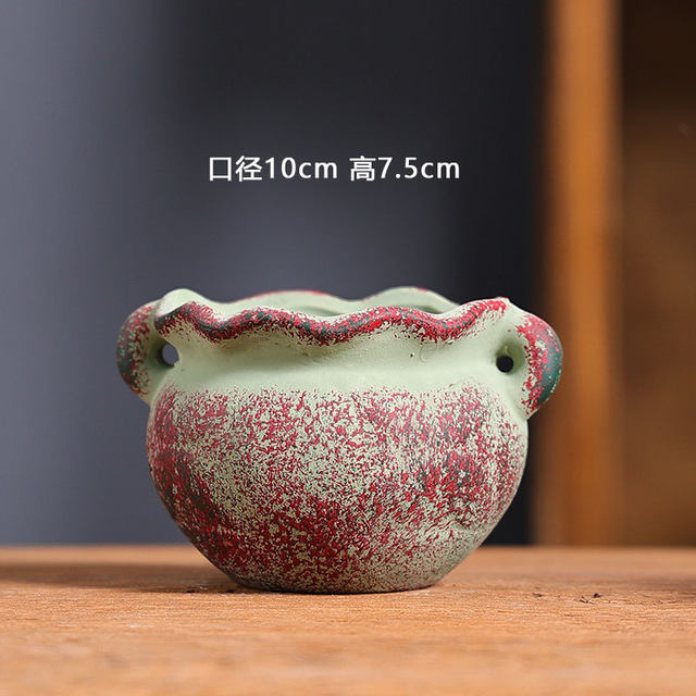 Small Mediterranean succulent flowerpots special clearance household ...