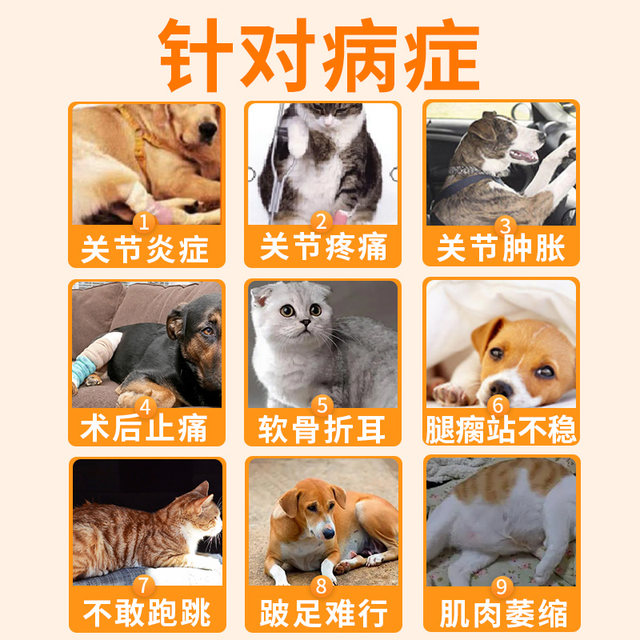 Meloxicam tablets for pets with arthritis, broken feet, lame cats ...