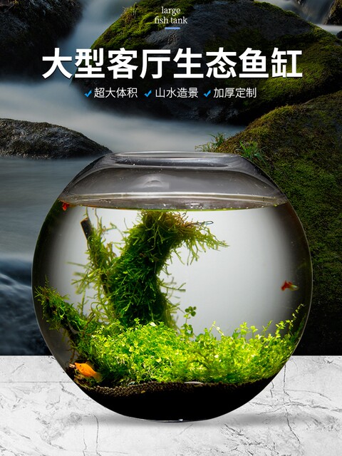 Fish tank living room large spherical small and medium tabletop glass ...