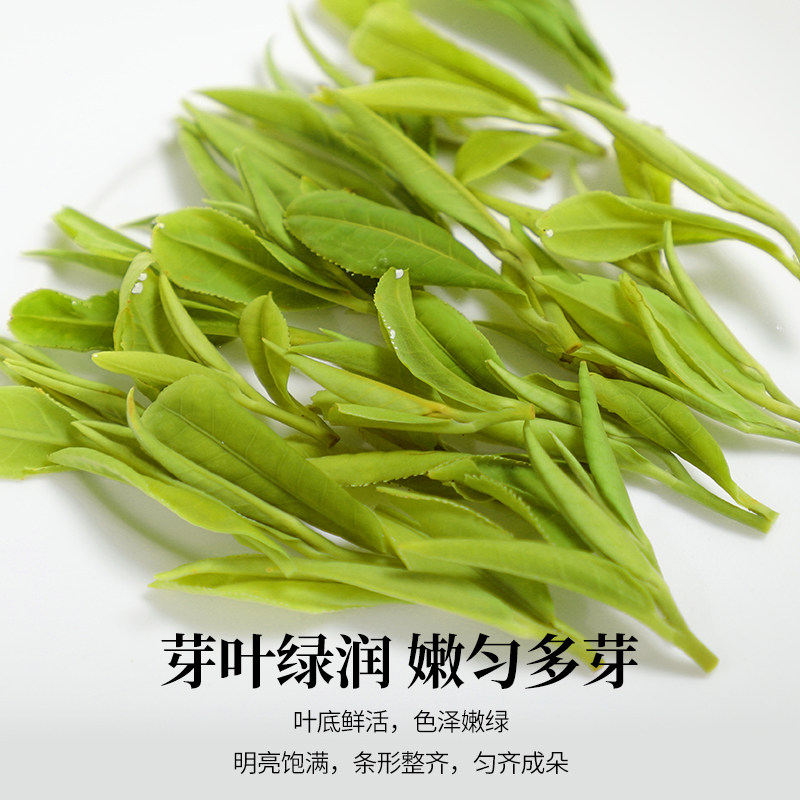 Chen Yifan Huangshan Maofeng Green Tea - 125g - 신선한 봄차