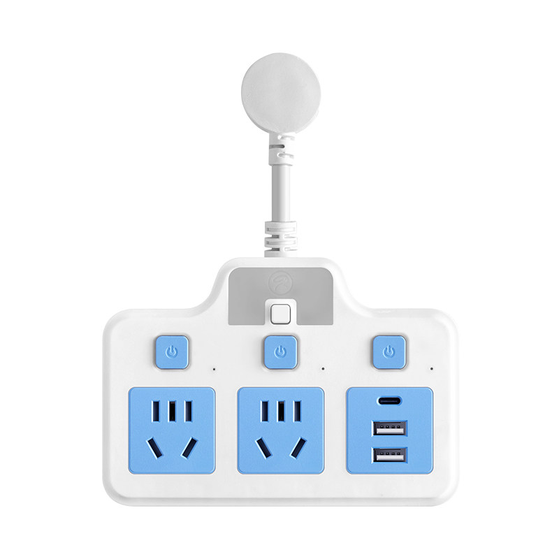 Lepus Copper Socket with USB Ports - 10 Outlets with Switch