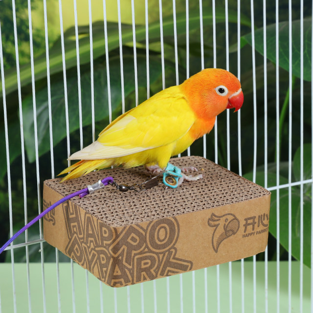 Parrot toy tiger skin black phoenix platform thousand-layer cardboard ...