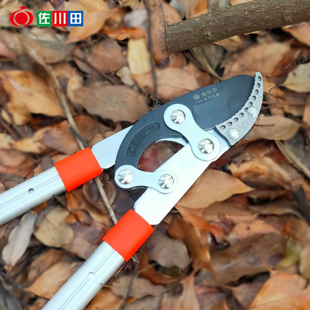 Sagawa field thick branch scissors retractable vigorously cut high ...