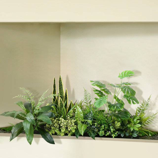 Shop window green plant combination flower trough flower bed plant ...