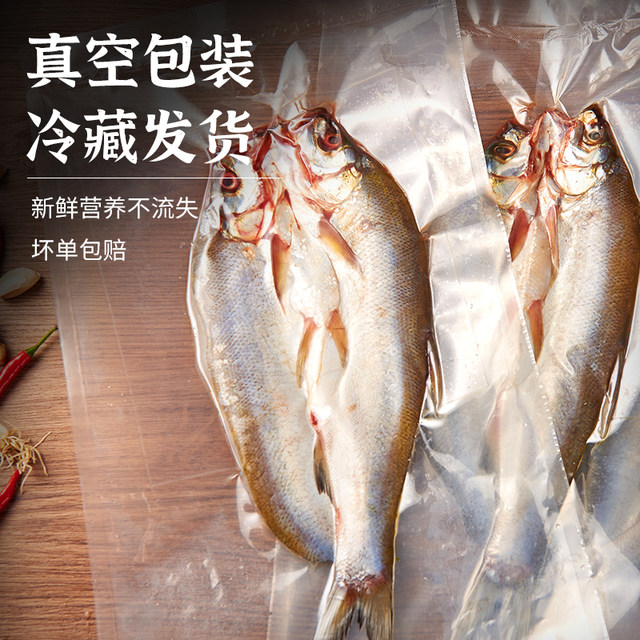 Sun-Dried White Croaker Fish, a Specialty of Hubei, Authentic Air-Dried ...