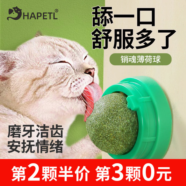 Catnip Ball Cat Toy Self-Happy Relieve Boredom Kitten Cat Supplies ...