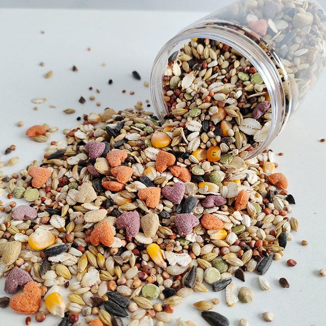 Nutritional five barn rat grain millet corn wheat grain hamster guinea ...