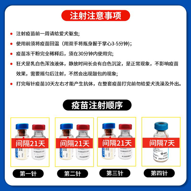 Imported Intervet Quadruple Rabies Vaccine for Dogs with a set of self ...