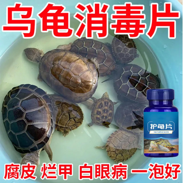 Turtle Protection Tablets, Turtle Disinfection Tablets, Treat White ...