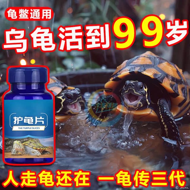 Turtle Protection Tablets, Turtle Disinfection Tablets, specially used ...