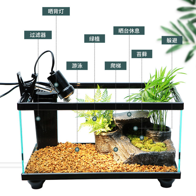 Turtle tank, large villa with terrace, special fish tank for raising ...