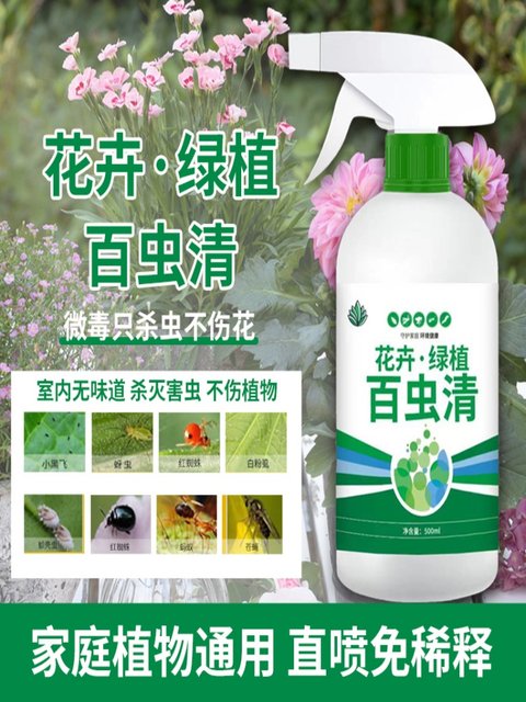 Agricultural flowers and green plants for melons and fruits, indoor ...