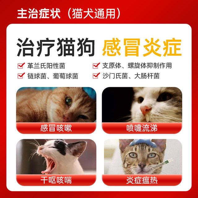 Sunuo Anti-inflammatory Tablets Cat Nose Branch Cat Sneezing Cold ...