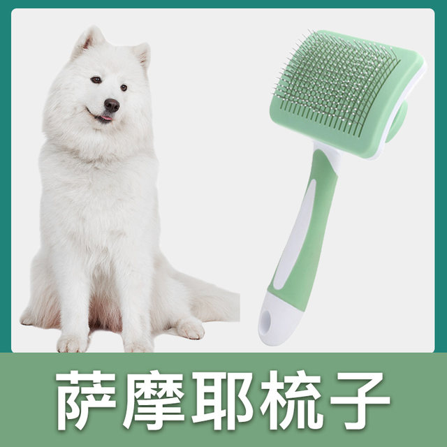 Samoyed special comb hair pull needle comb dog hair comb brush size dog ...