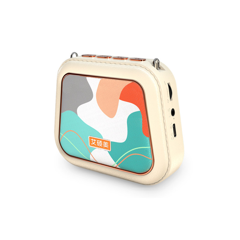 E-shall K20 Drahtloser Sprachverstärker Megafon für Lehrer & Präsentatoren