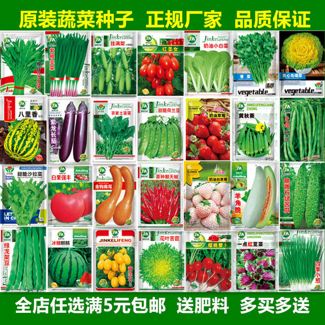 Vegetable seeds, coriander, tomato, pepper, spinach, cucumber, rapeseed ...