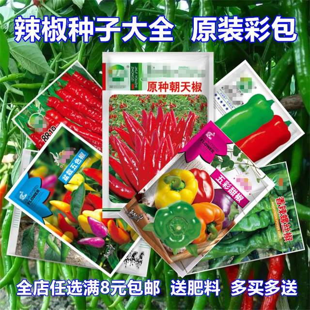 Vegetable seeds, coriander, tomato, pepper, spinach, cucumber, rapeseed ...