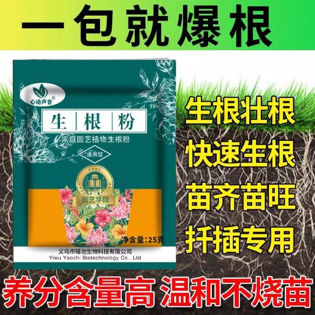 Powerful rooting powder, dead seedlings, rotten roots, retting root ...