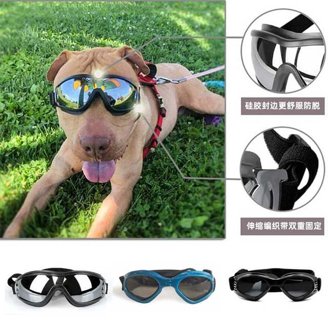Dog Glasses Goggles Dog Sunglasses Windproof Golden Retriever Teddy ...