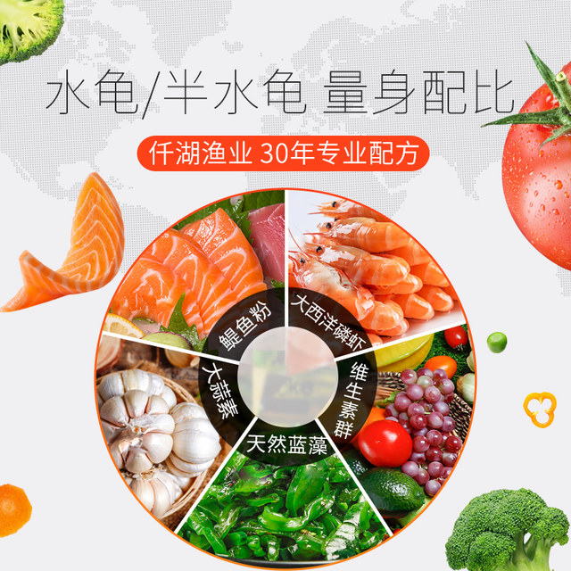 Qianhu Little Turtle Feed Brazilian Turtle Money Turtle Food Living ...