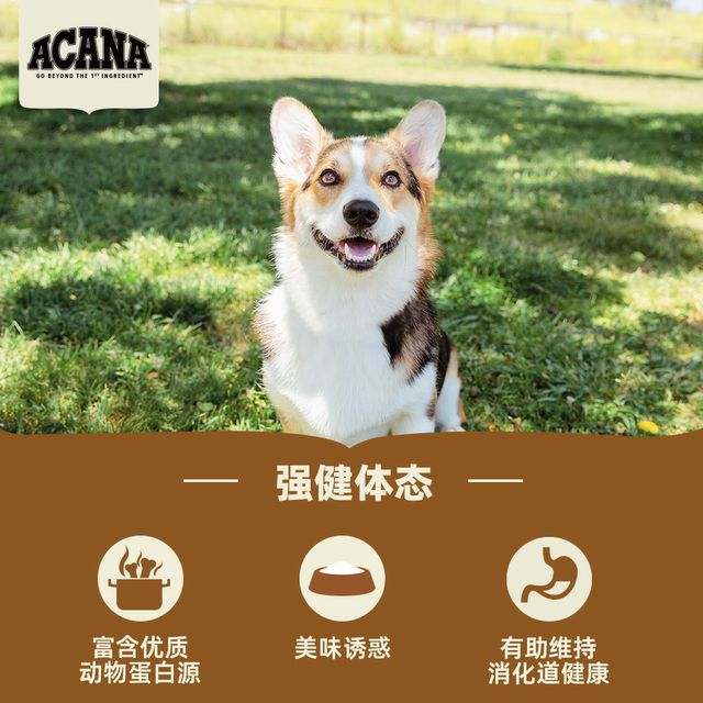 Aikenna all-purpose imported food for adult dogs and puppies in single ...