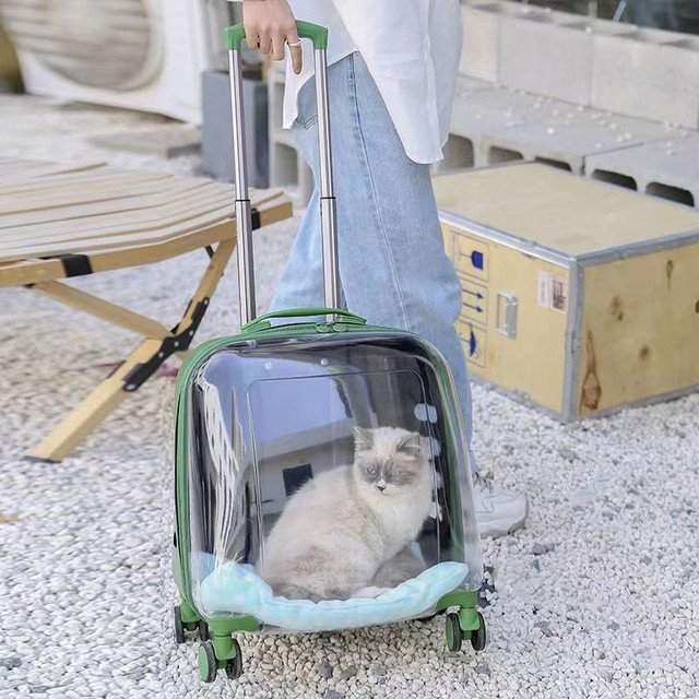 Pet Trolley Case Cat Bag Outdoor Portable Cat Luggage Transparent Large ...