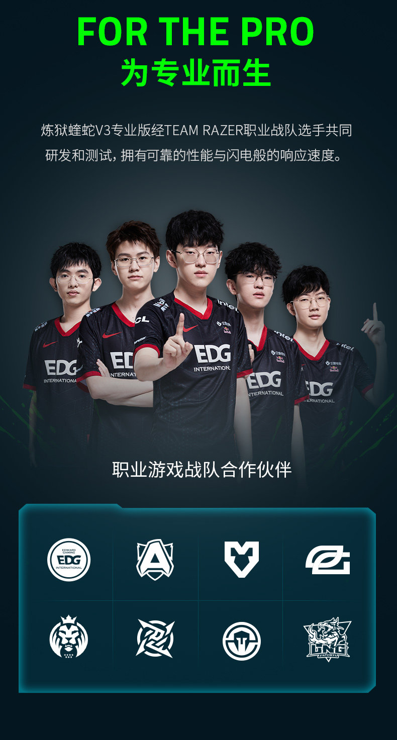 Razer Purgatory Viper V3 Professional Edition Wireless 2.4G Gaming Mouse