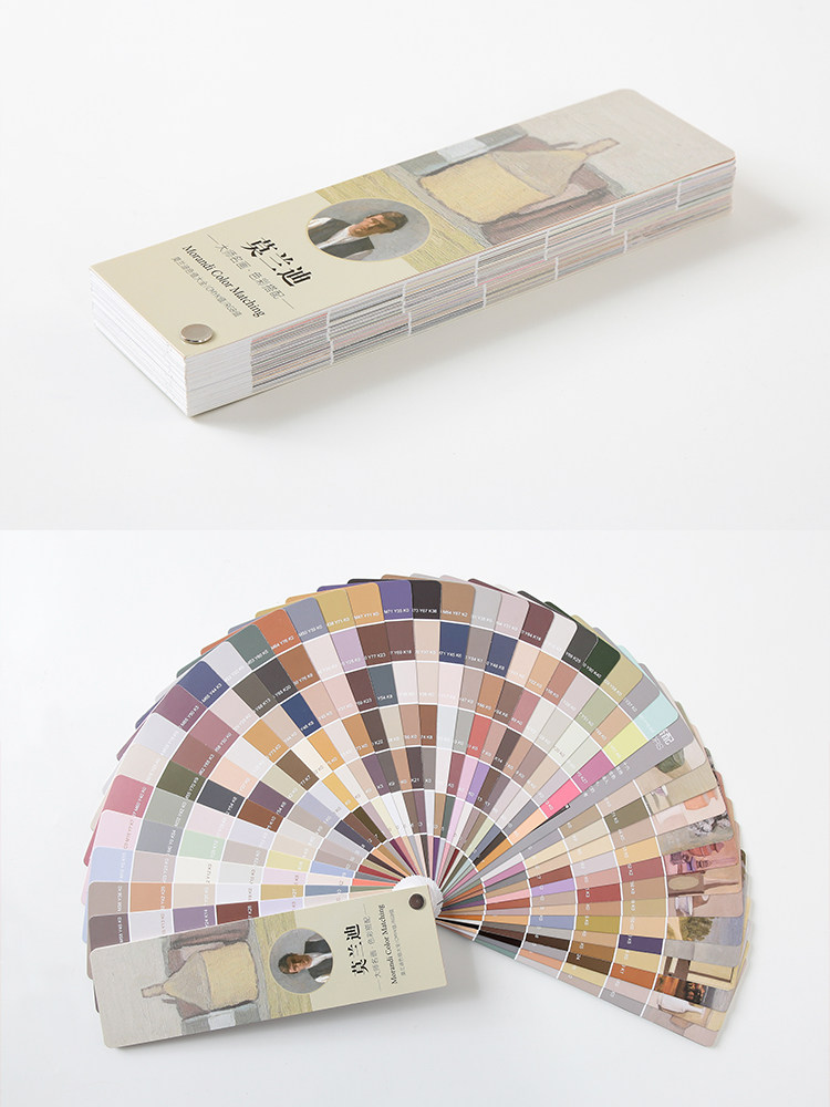 Caihuitong Morandi Farbkarte - 306 Farben CMYK