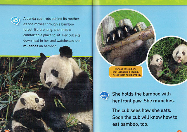 National Geographic English version of the United States graded reading ...