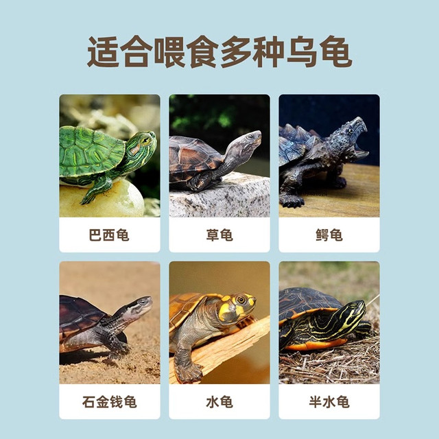 Turtle food, turtle salt-free dried fish, Brazilian tortoise, special ...