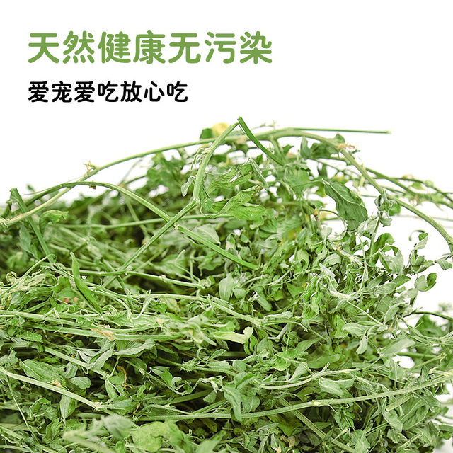 Alfalfa rabbit food for young rabbits purple flower hay edible food for ...