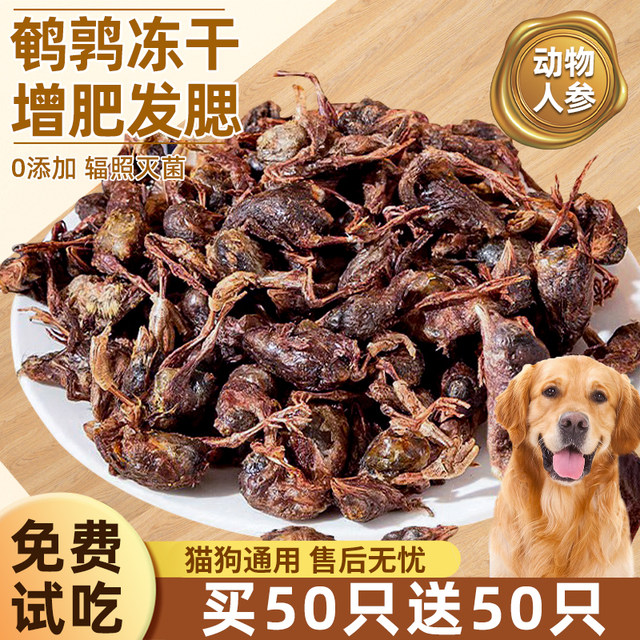 Dog snacks: freeze-dried quail, nutritional calcium supplement, freeze ...