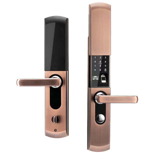 Smart Lock for Home Security Door, Fingerprint Lock, Electronic Lock ...