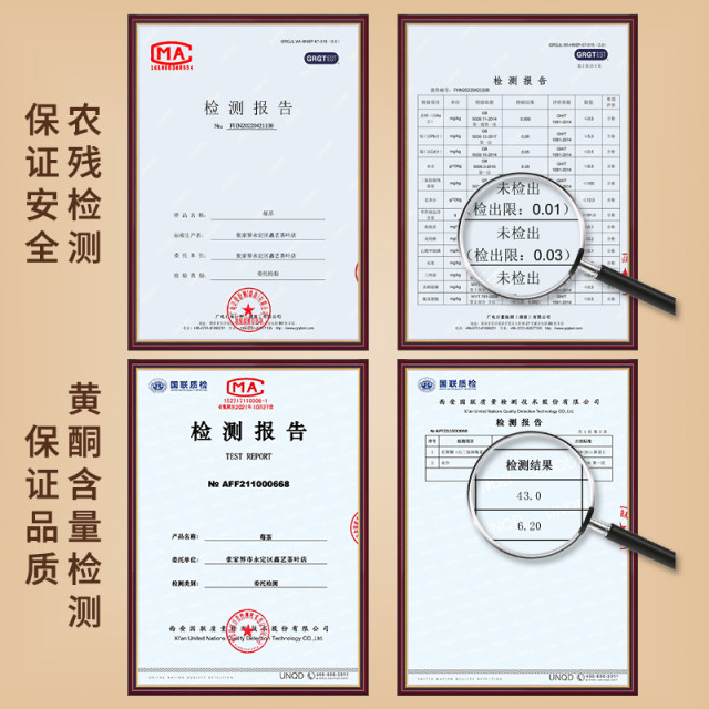 Raspberry tea Zhangjiajie wild premium authentic bud tip mildew tea ...