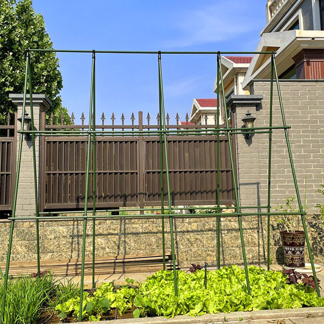 Grape climbing vine frame bean horn cucumber frame flower bracket ...