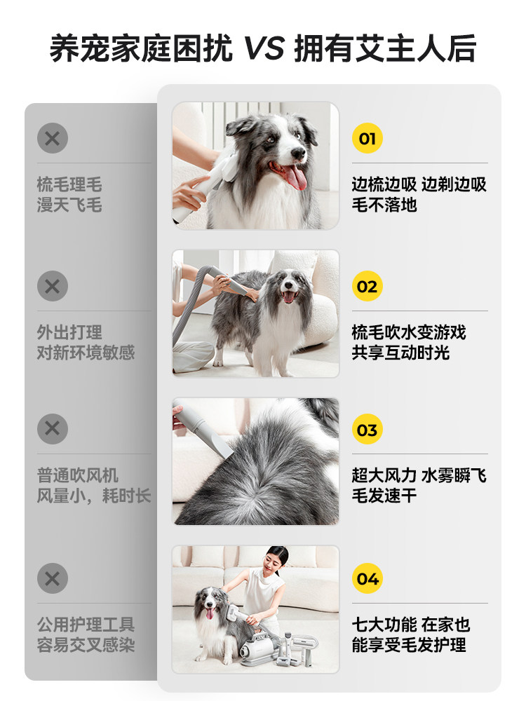 Sèche-cheveux Master Ai pour Animaux - Souffleur pour le toilettage de ...