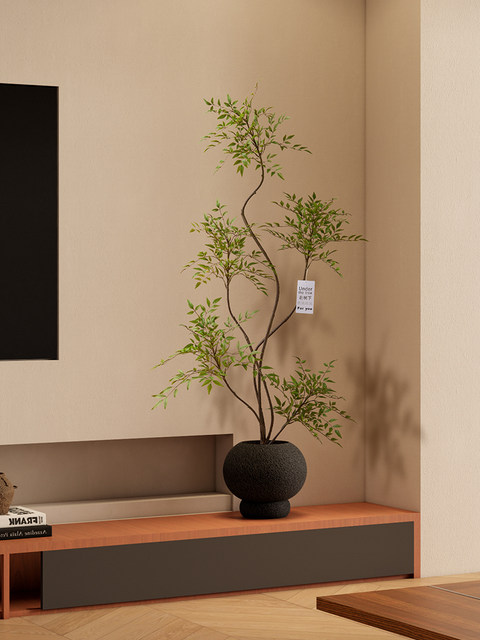 Simulated green plants next to the TV cabinet of the Sen Space arena ...