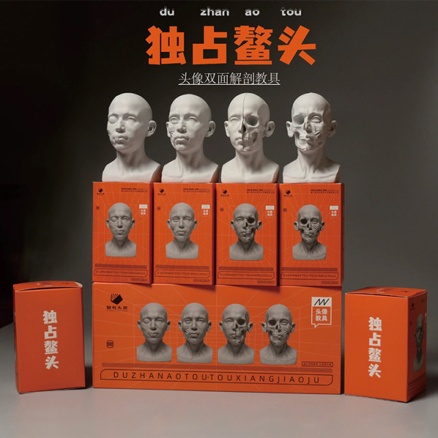 A package of your choice, plaster head mold, teaching aids, art sketch ...